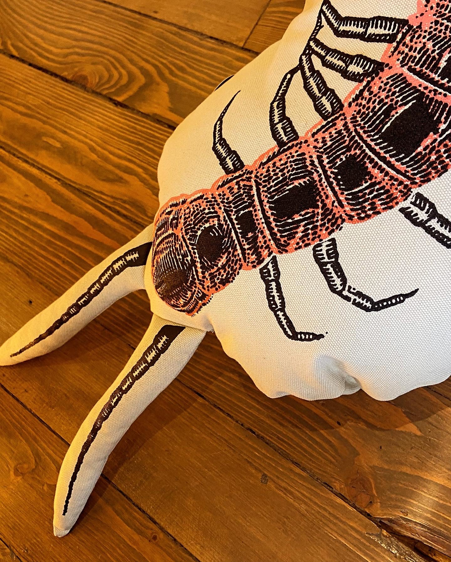 INSECT PILLOW: CENTIPEDE – LEISURE SYNDICATE